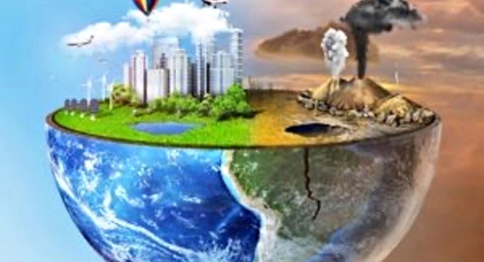 Human activities and the impact on plants and animals – Essay King ...