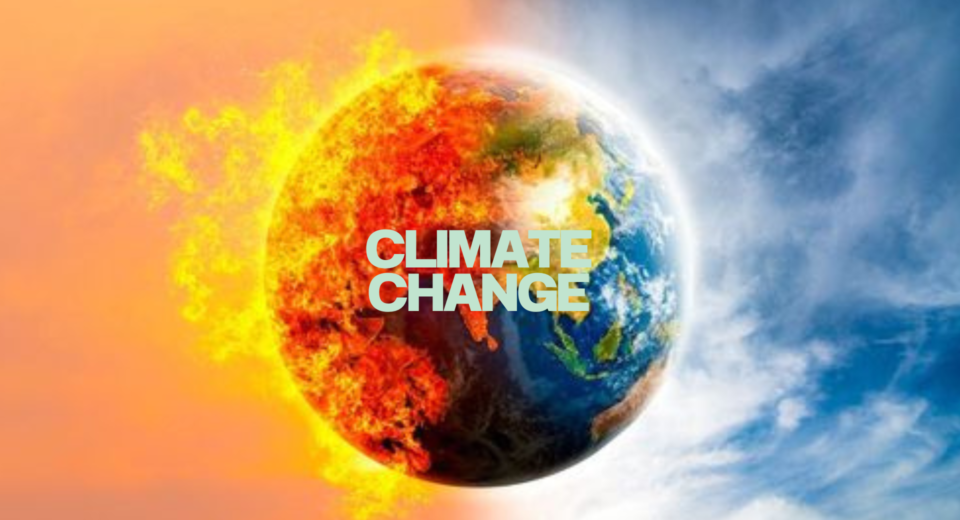 IELTS Writing Task 2 Sample Answer: Climate Change – Essay King IELTS Blog