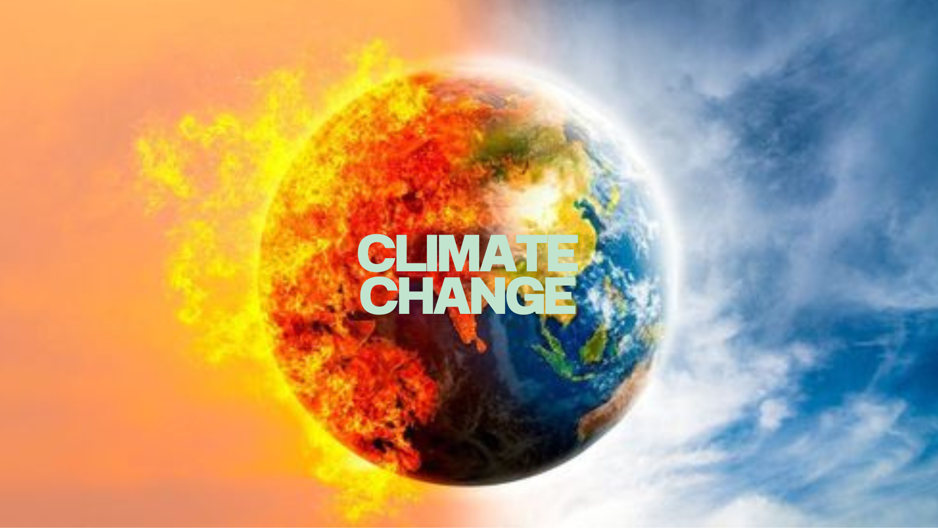 IELTS Writing Task 2 Sample Answer: Climate Change – Essay King IELTS Blog